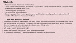 Insect body wall: It’s structure,cuticular outgrowth, colouration and ...