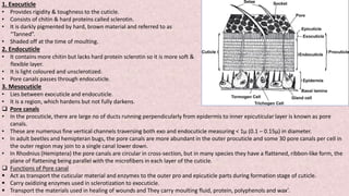 Insect body wall: It’s structure,cuticular outgrowth, colouration and ...