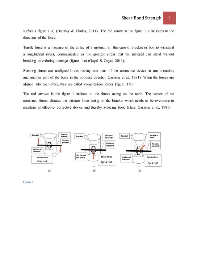 Shear Bond Strength of Orthodontic Brackets | DOCX