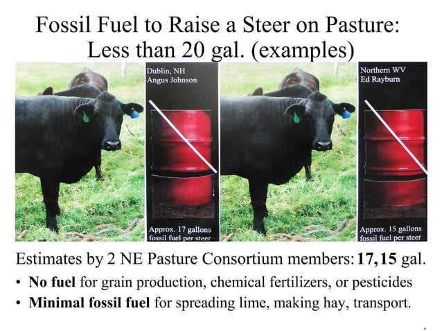 West Wind Farm-GrassFedBeef PowerPoint | PPT