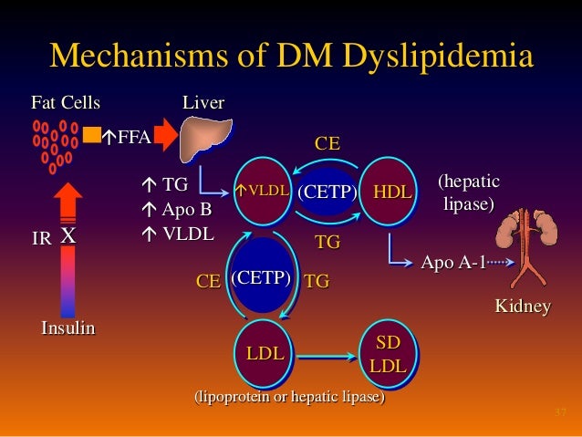 Diabetic dyslipidemia