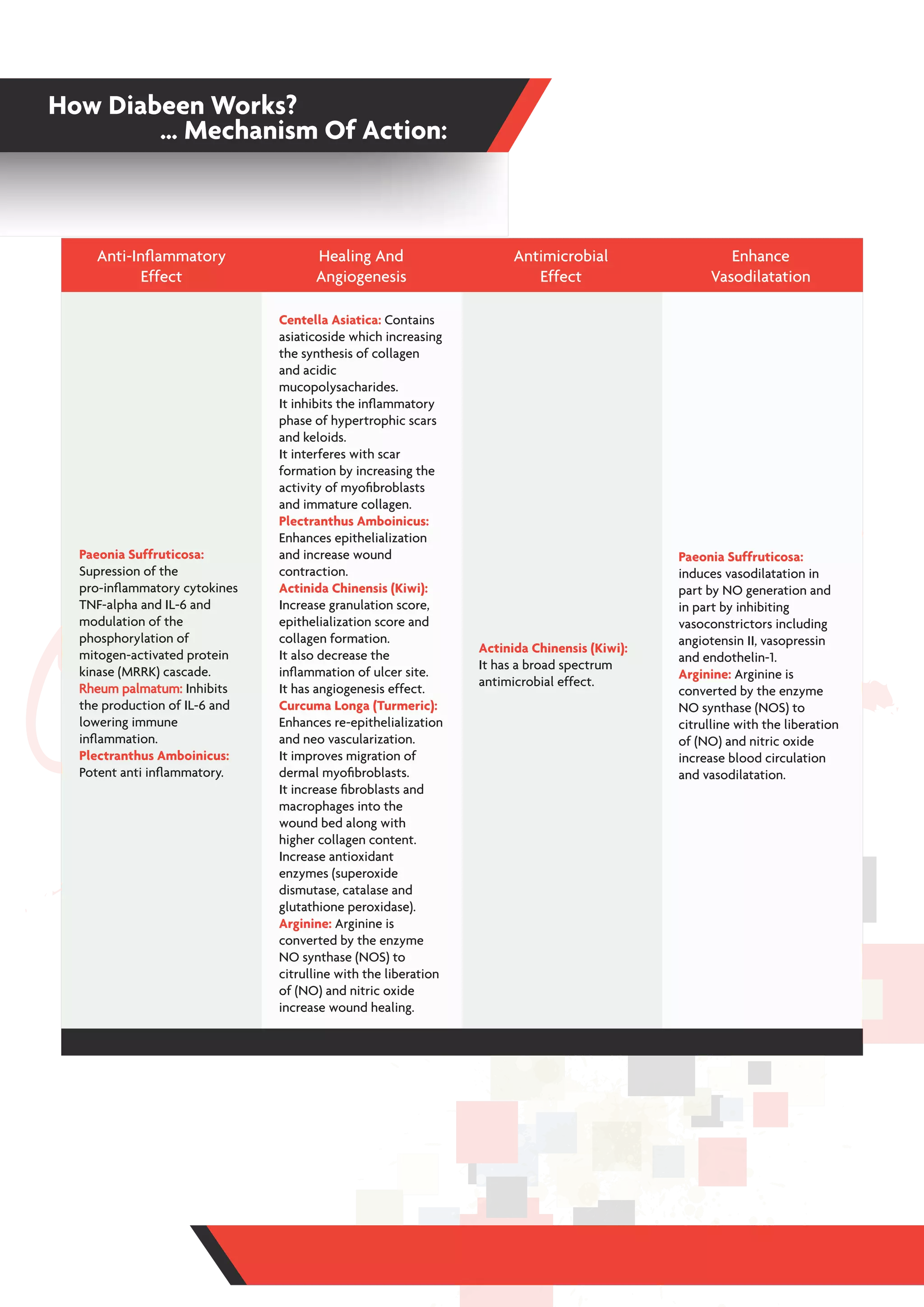DiaBeen Cream - Product differentiation guide.pdf