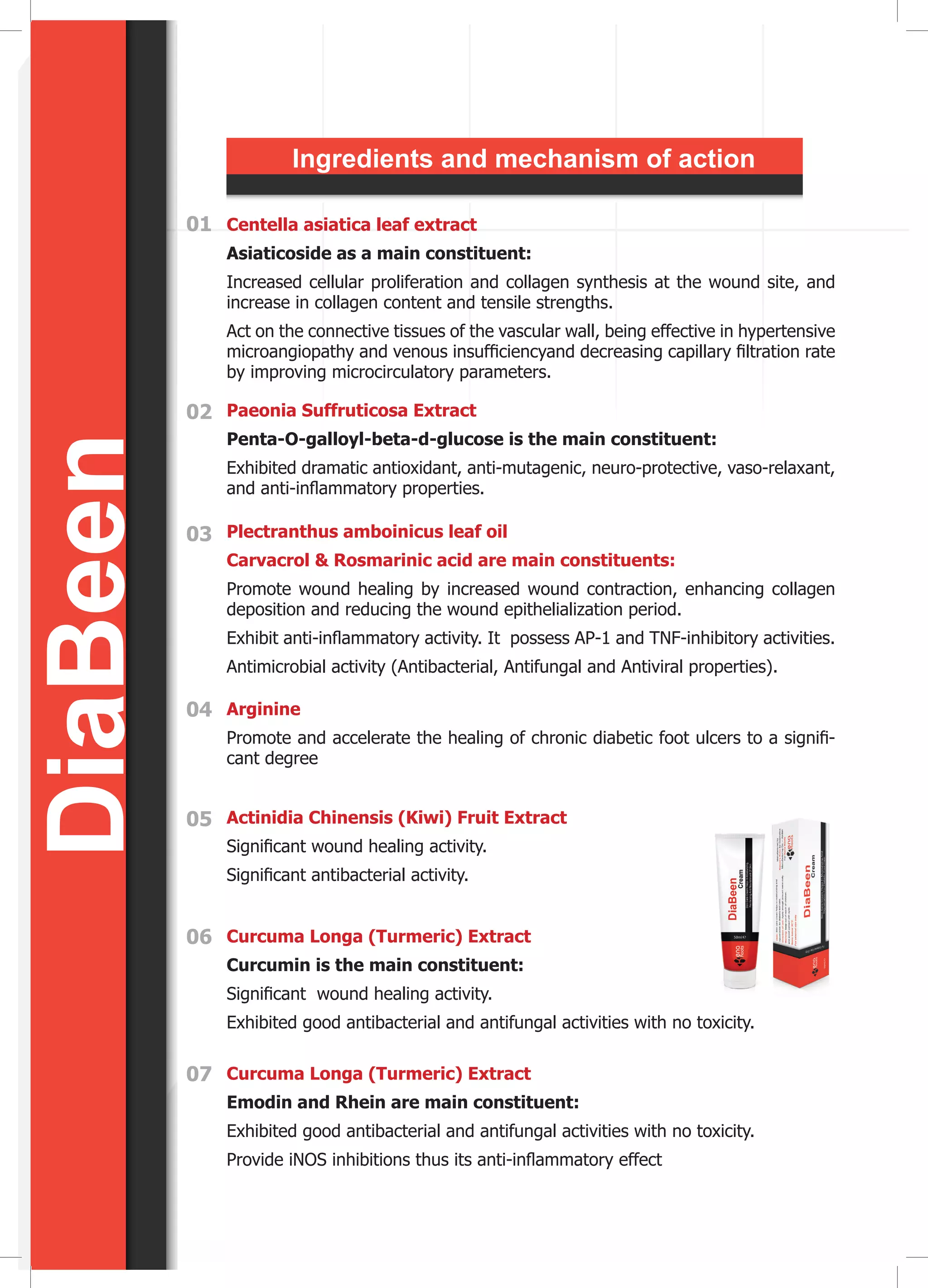 Diabeen Cream brochure | PDF