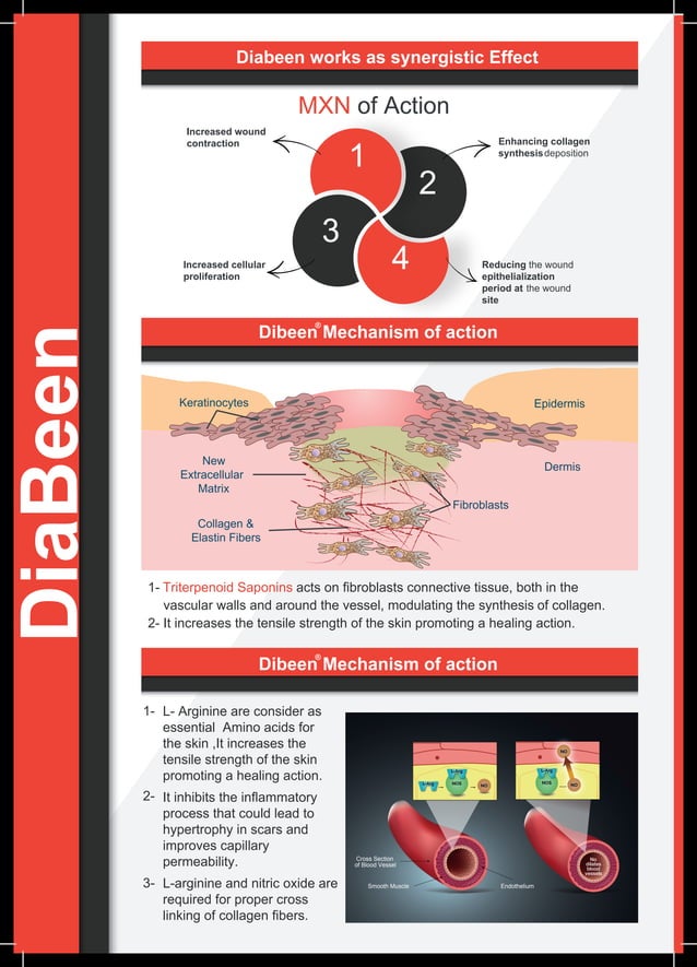 Diabeen Cream brochure | PDF