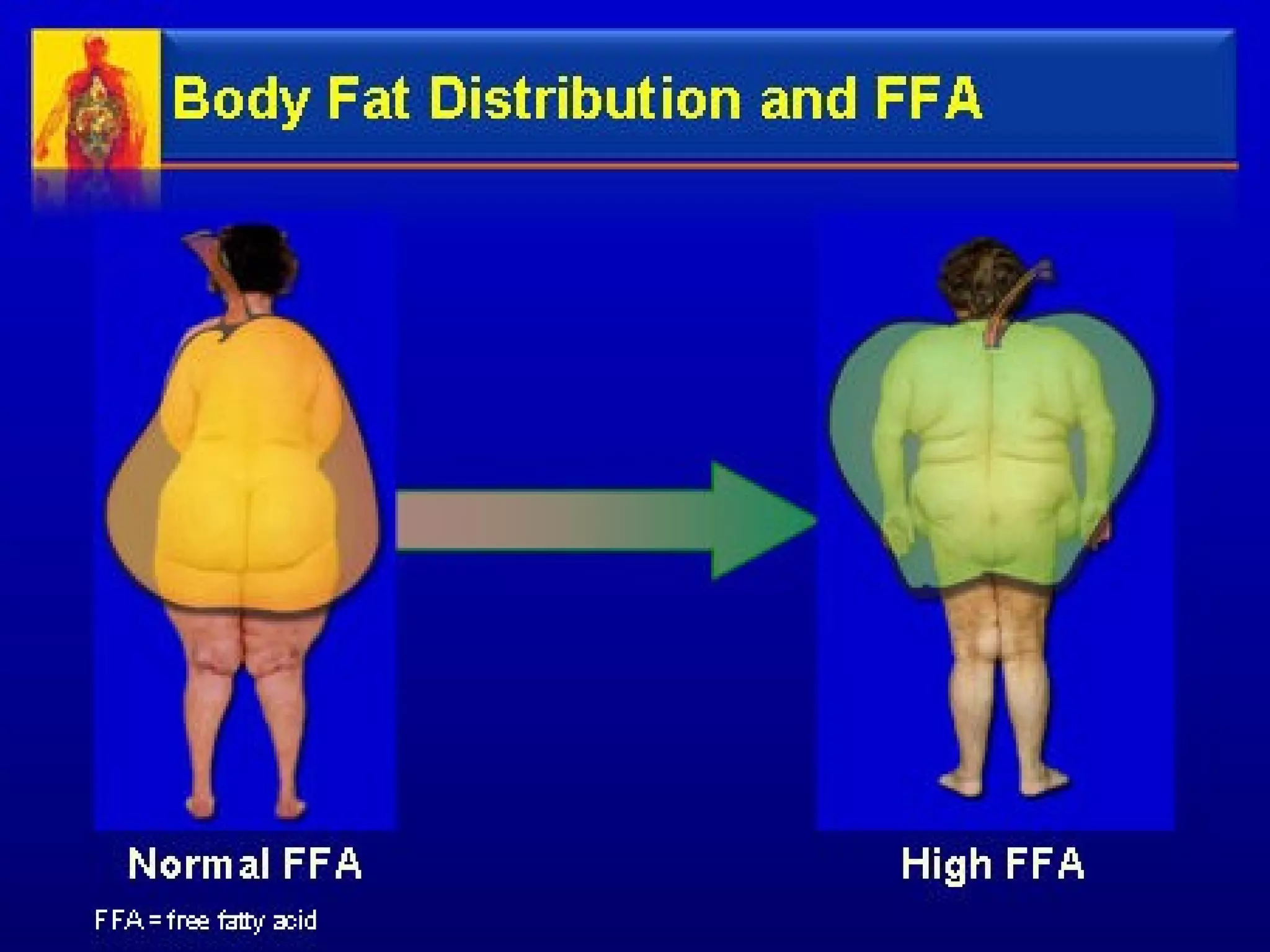 Diabesity (Diabetes and Obesity) | PPT