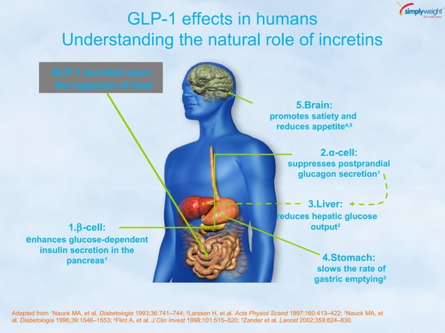 Diabesity (Diabetes and Obesity) | PPT