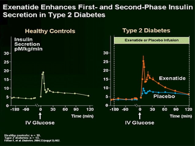 Diabesity (Diabetes and Obesity) | PPT