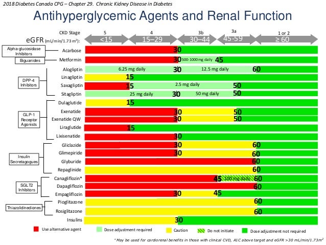 Diabetes and kidney: what new messages