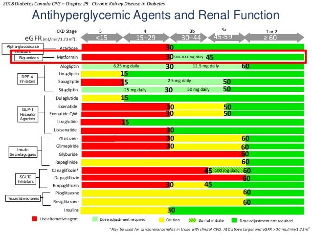 Diabetes and kidney: what new messages