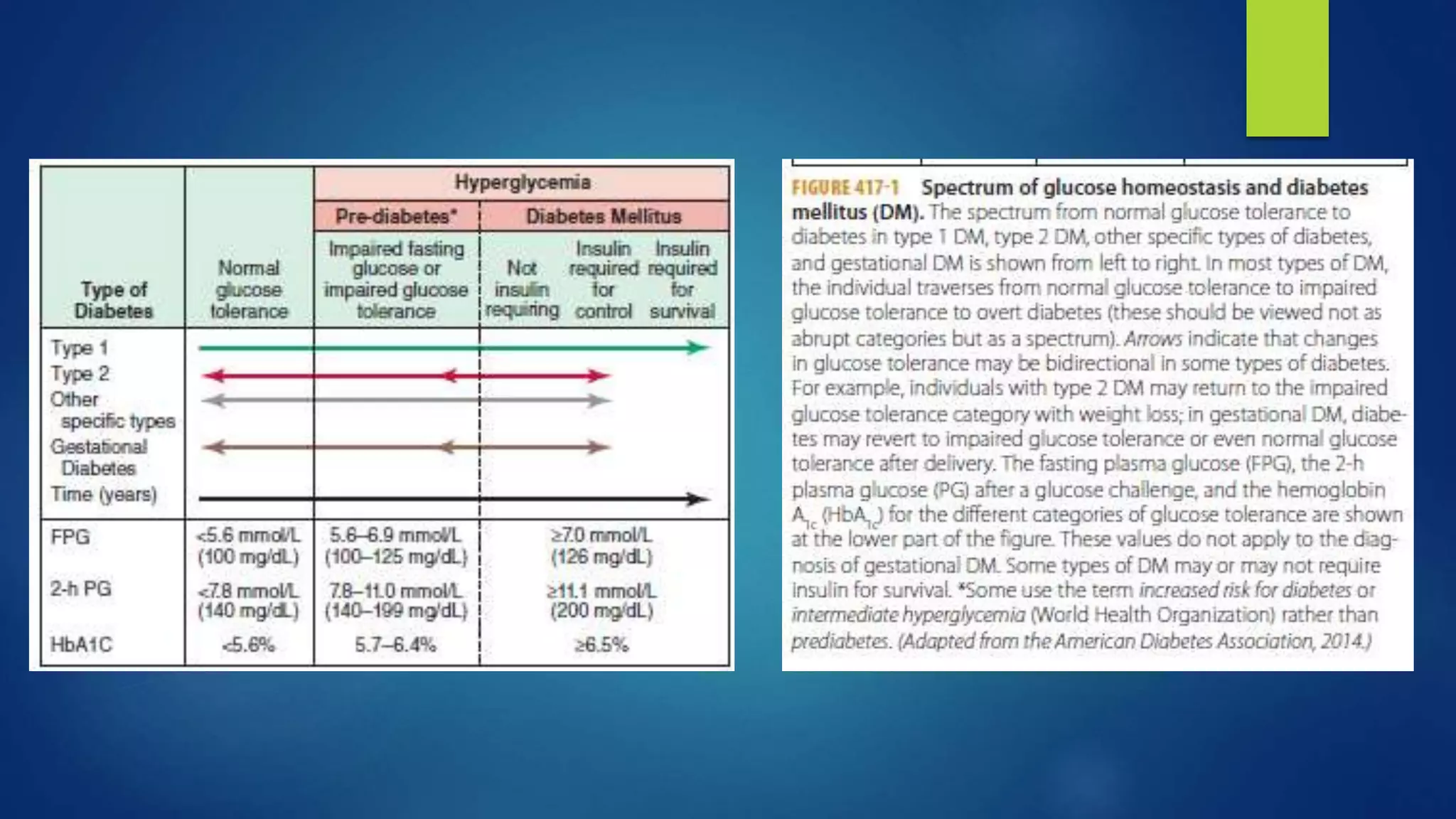 Pathophysiology of Diabetes Mellitus (Harrison’s Principles of Internal ...