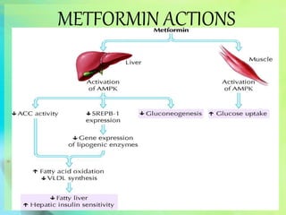 Diabetes and Oral hypoglycemic drugs | PPTX