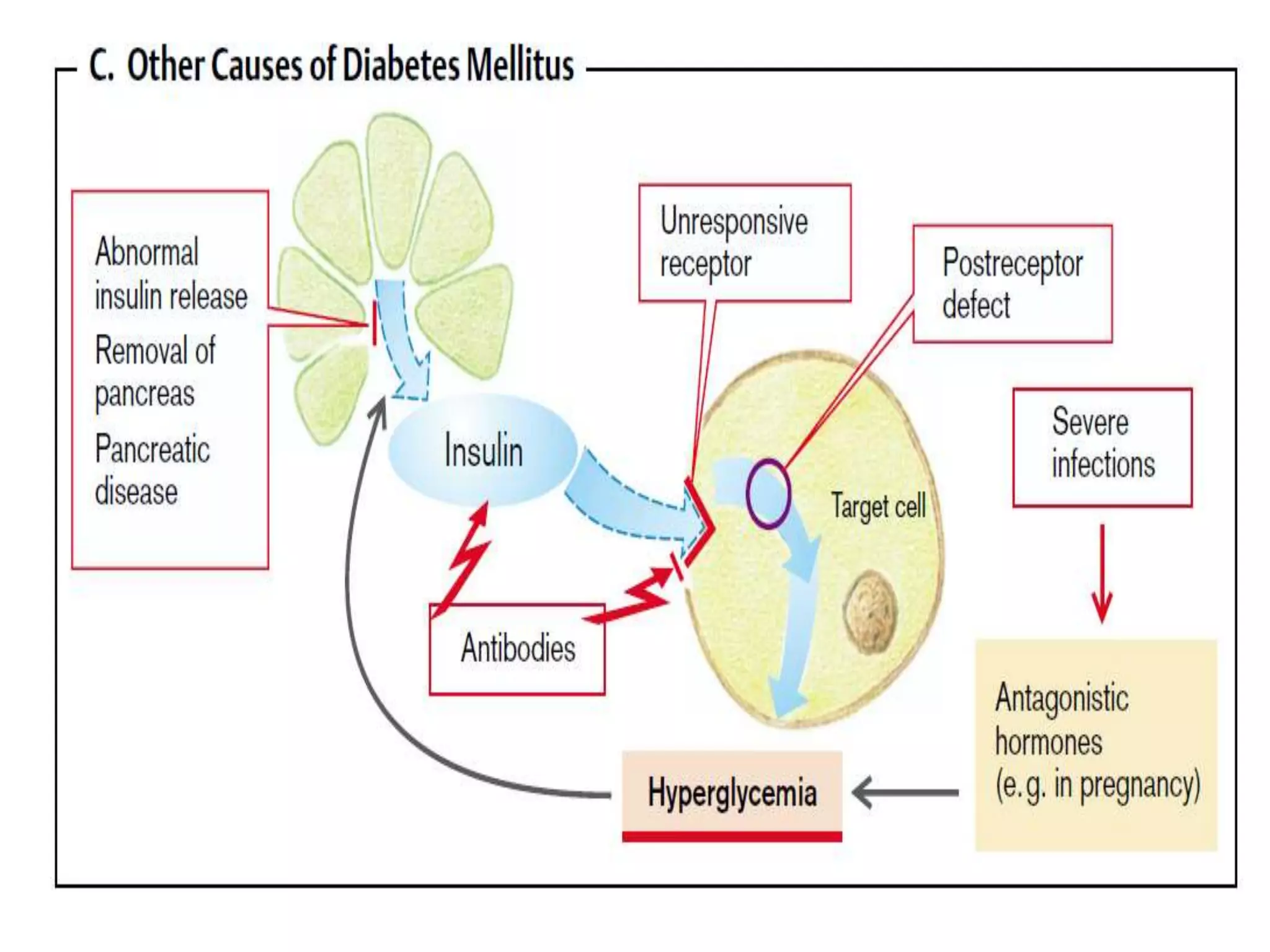 screening model for diabetes | PPTX
