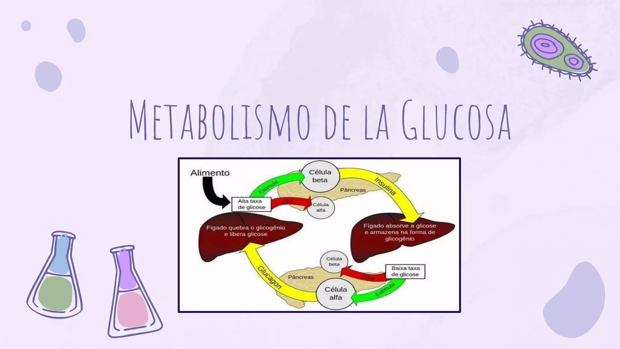 DIABETES.-Metabolismo de glucosa y Regulación de la homeostasia de la ...