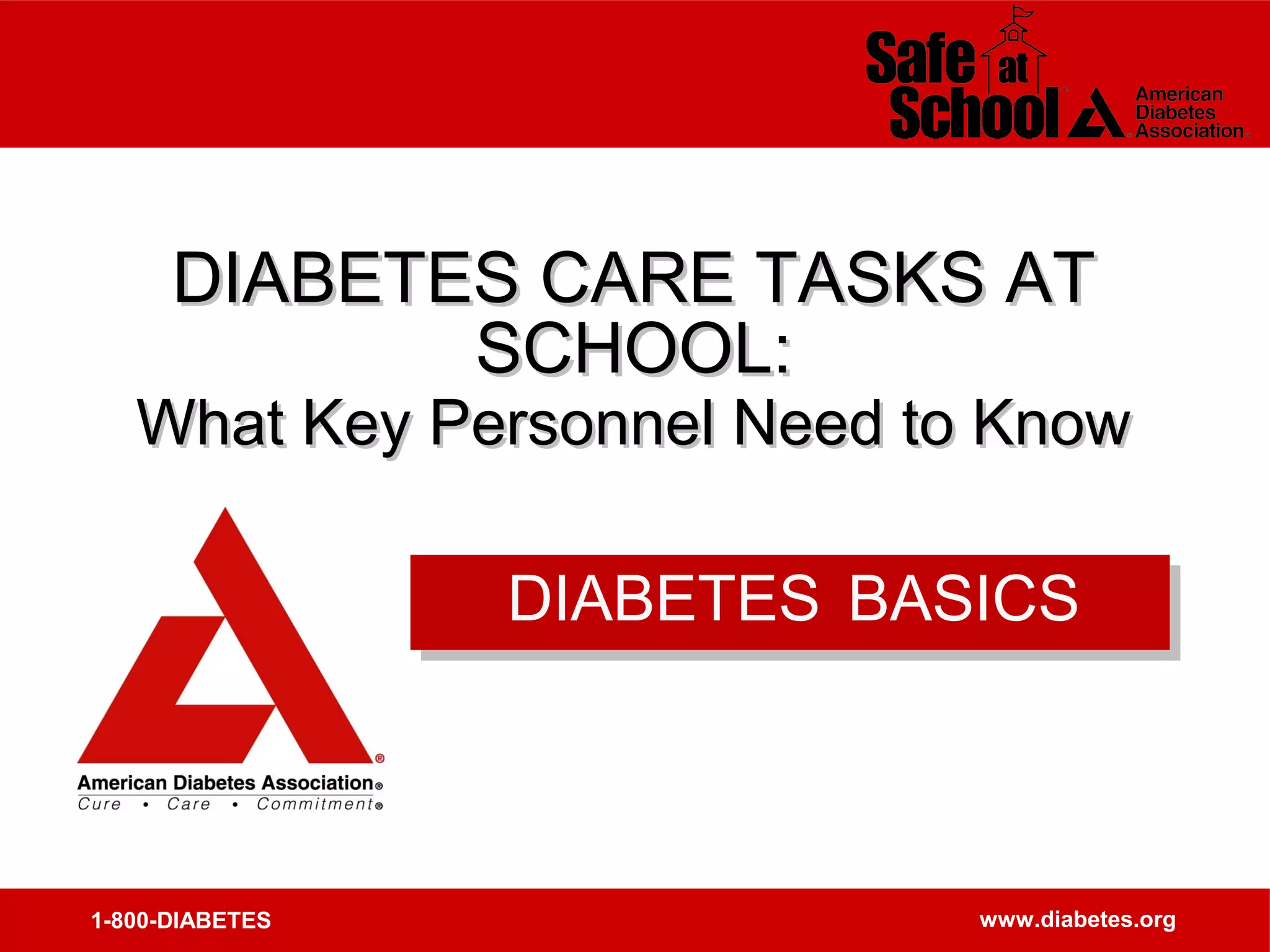 Diabetes Basics | PPT