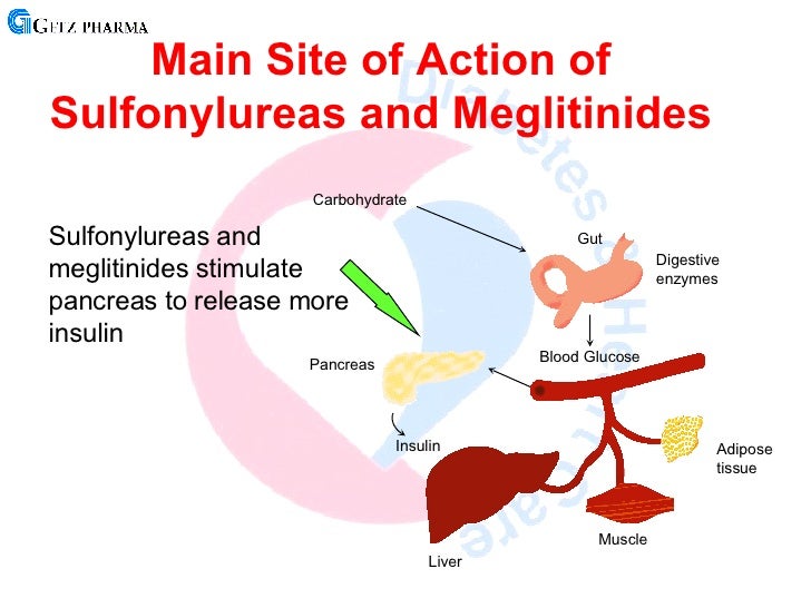 Diabetes Mellitus