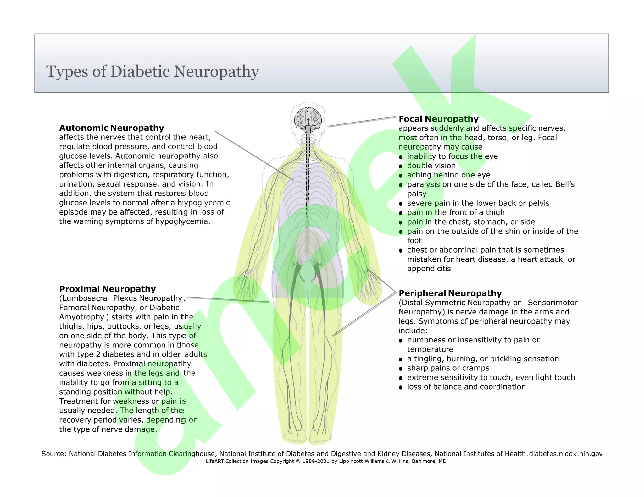 Diabetes A Synopsis By Aneek Gupta | PDF | Diabetes | Diseases and ...