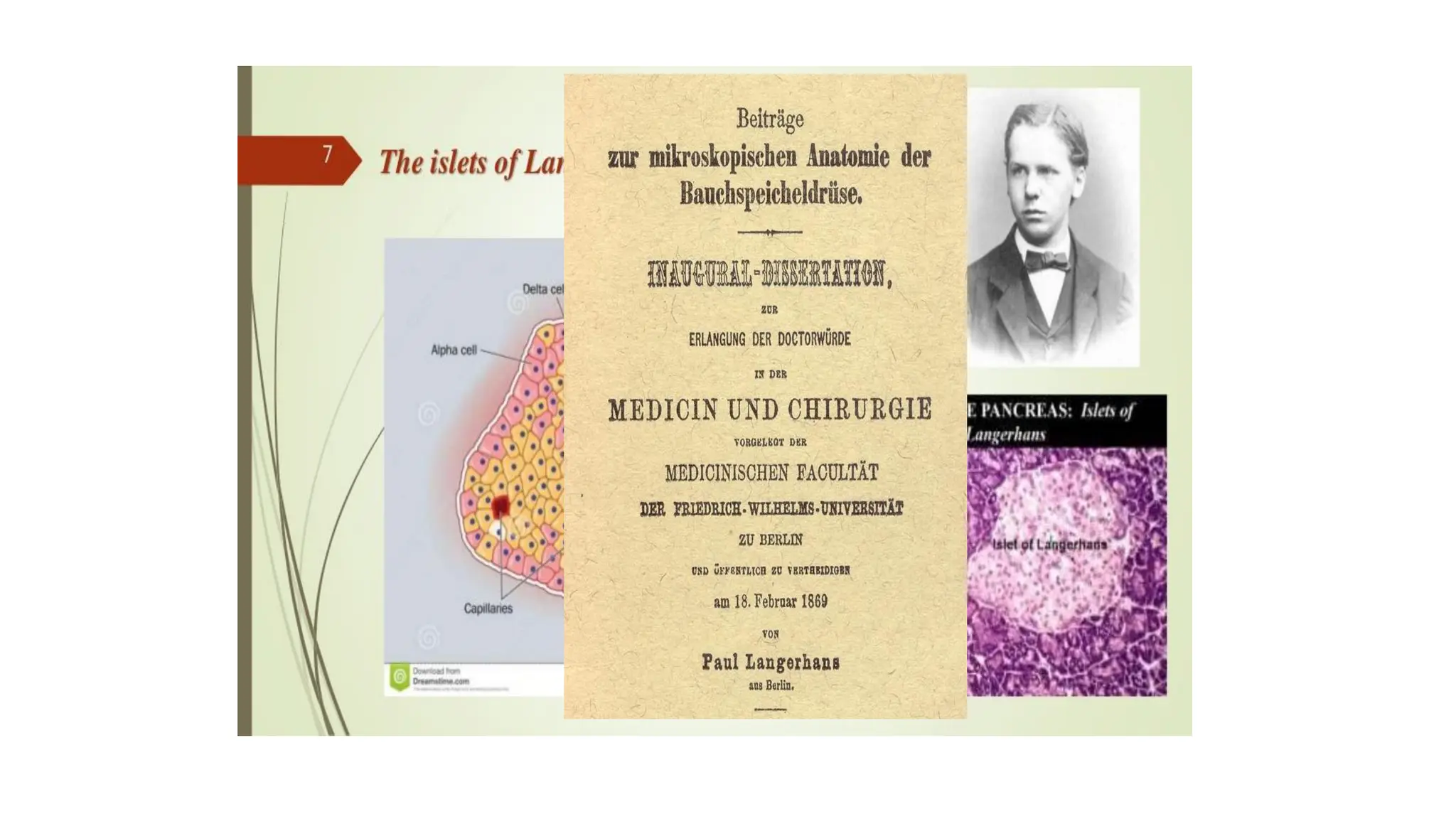 diabetes - timelines, history, discovery | PDF