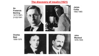 diabetes - timelines, history, discovery | PDF