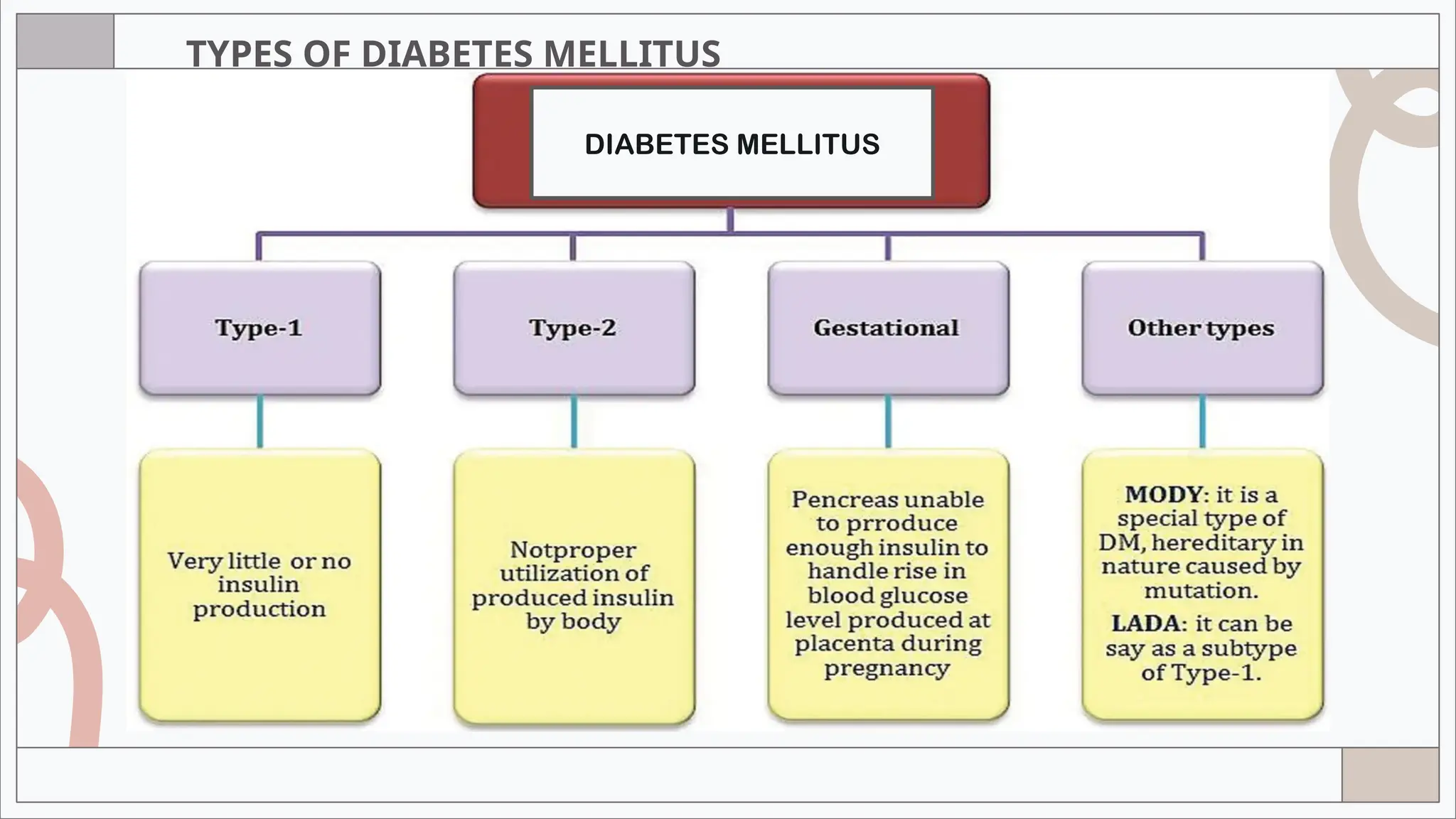 Pathogenesis of Diabetes Mellitus: Understanding the Mechanisms Behind ...