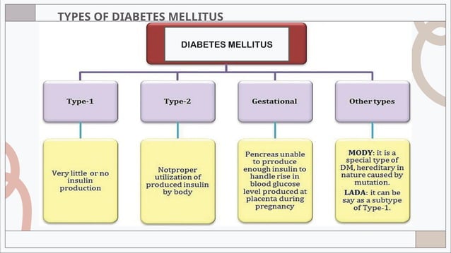 Pathogenesis of Diabetes Mellitus: Understanding the Mechanisms Behind ...