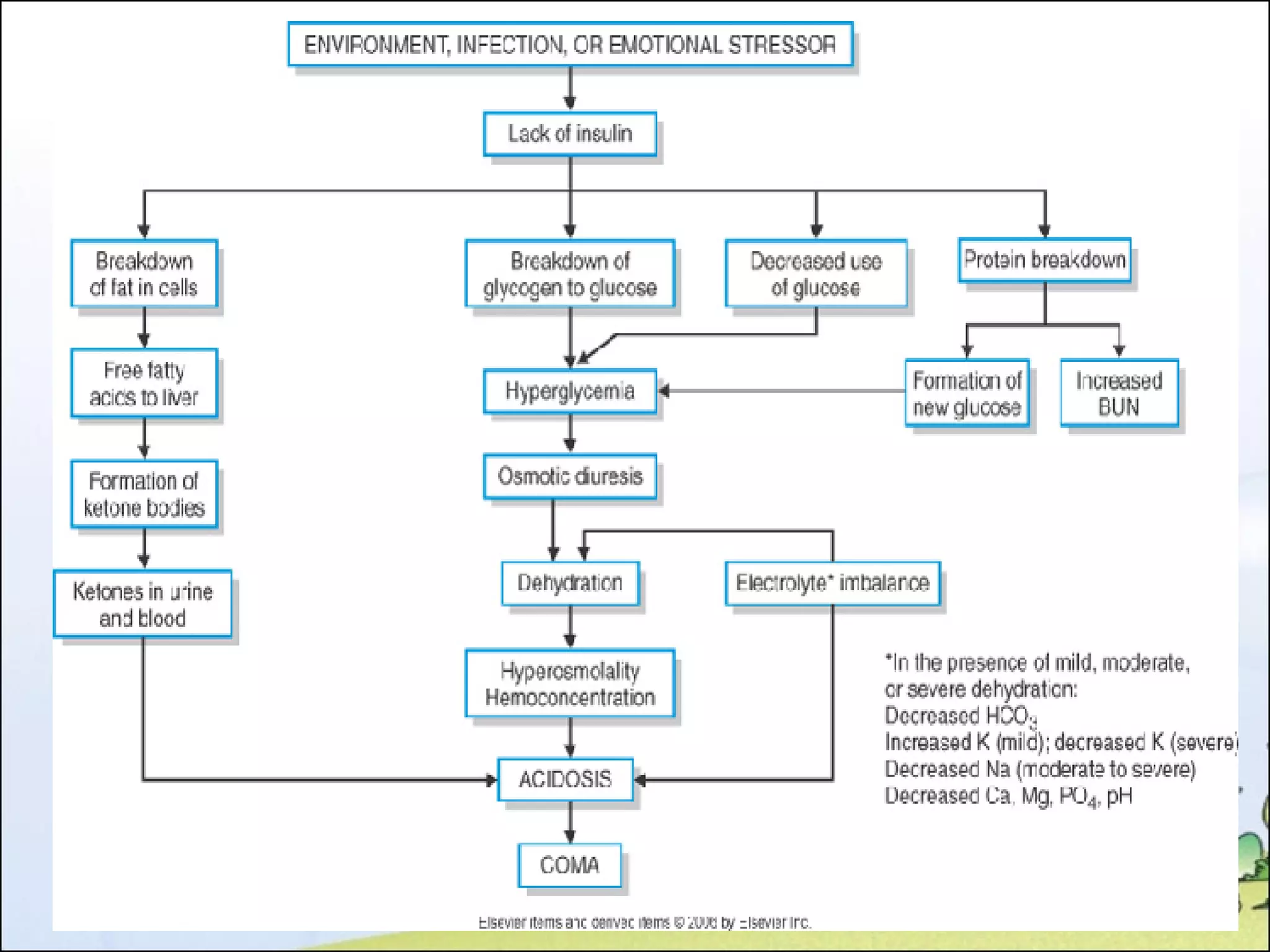 Nursing Management for Diabetes Mellitus | PPT