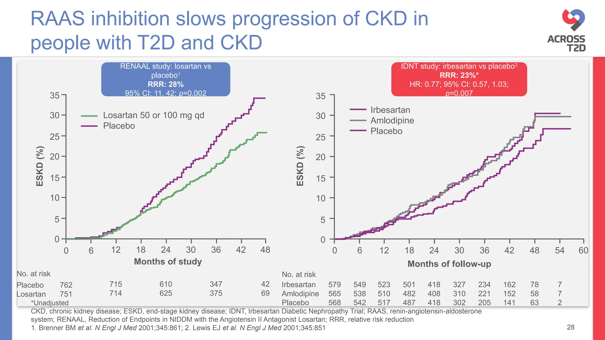Diabetic Kidney Disease Updates and Management | PPTX