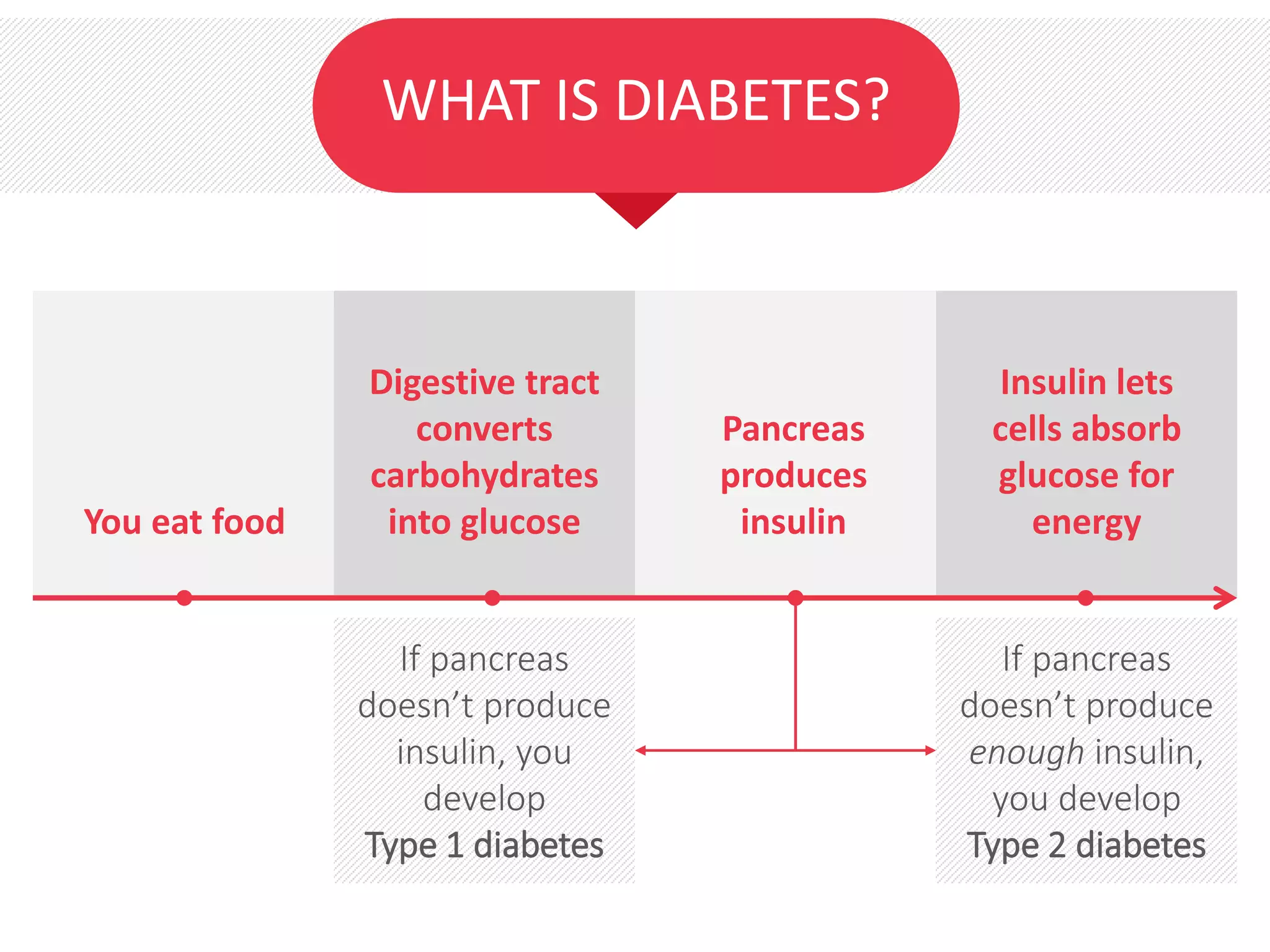 Diabetes Facts and Tips for a Healthy Lifestyle | PDF