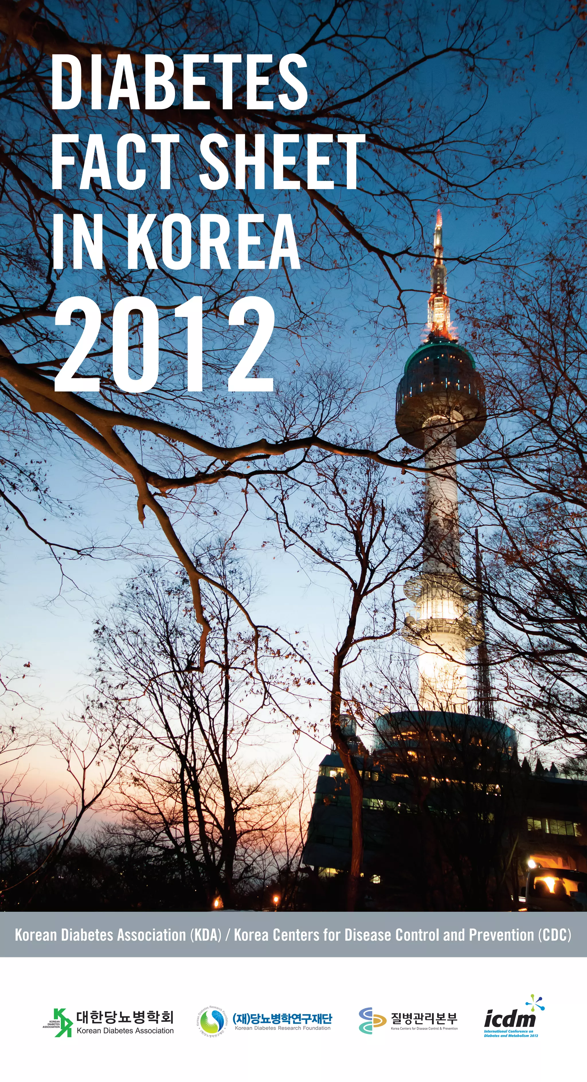 Diabetes fact sheet2012 | PDF