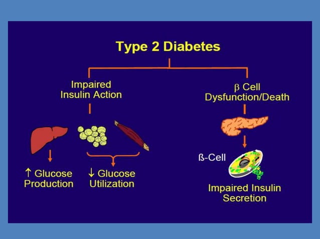 Diagnosing diabetes | PPTX