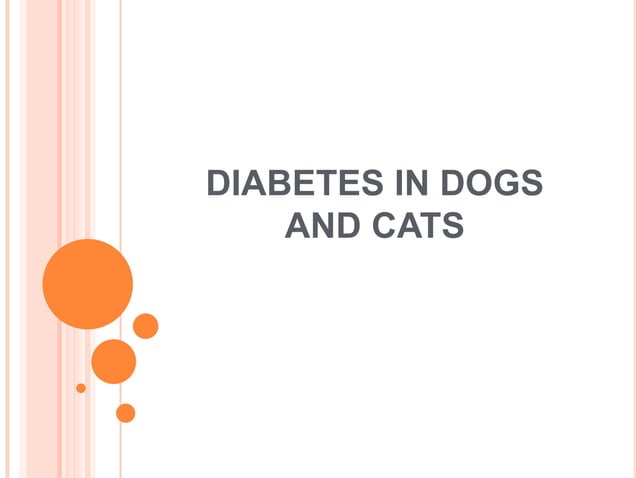 DIABETES IN DOGS AND CATS a brief approach | PPTX | Endocrine and ...