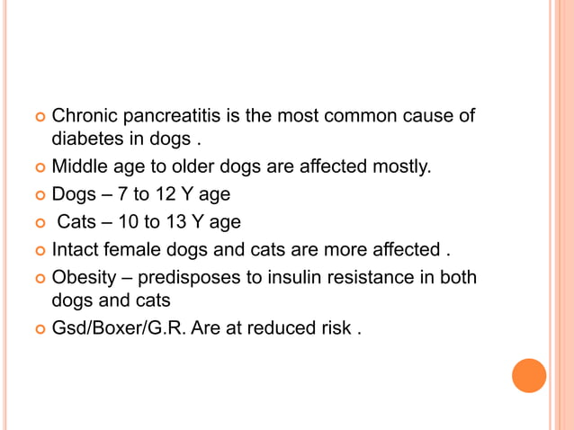 DIABETES IN DOGS AND CATS a brief approach | PPTX | Endocrine and ...
