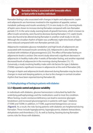 Diabetes in Ramadan guidelines | PDF