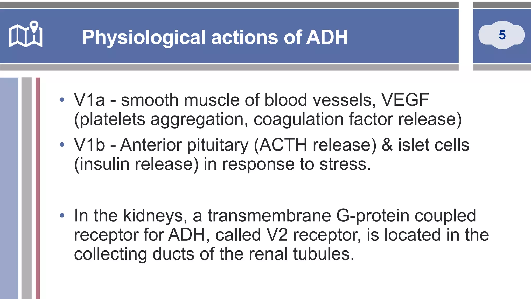 Diabetes insipidus (DI) | PPTX