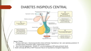 Diabetes insipidus FINALE.pptx