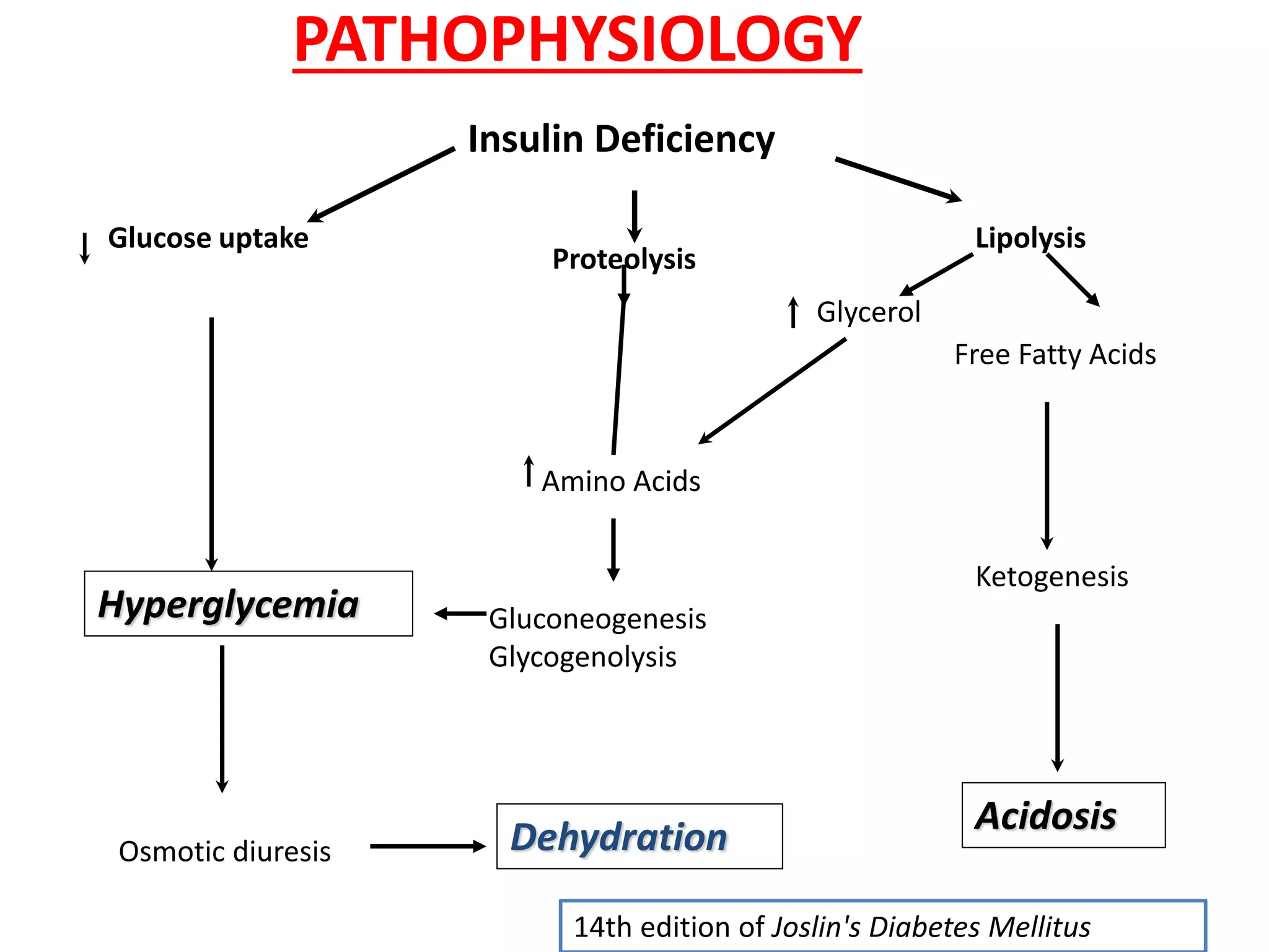 Diabetes ketoacidosis | PPTX