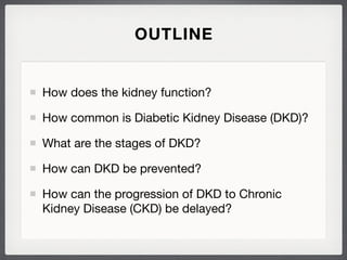 Protecting the Kidney in Diabetes | PDF