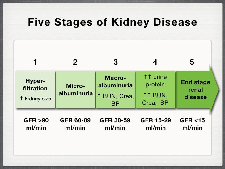 Protecting the Kidney in Diabetes