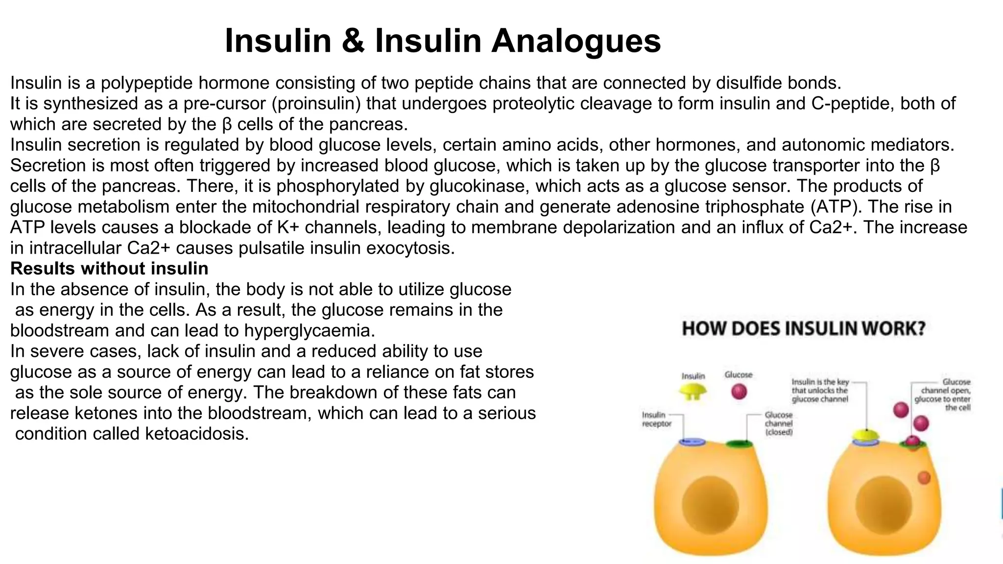 Diabetes Melliltus Complete (Introduction, Pathophysiology, Types ...
