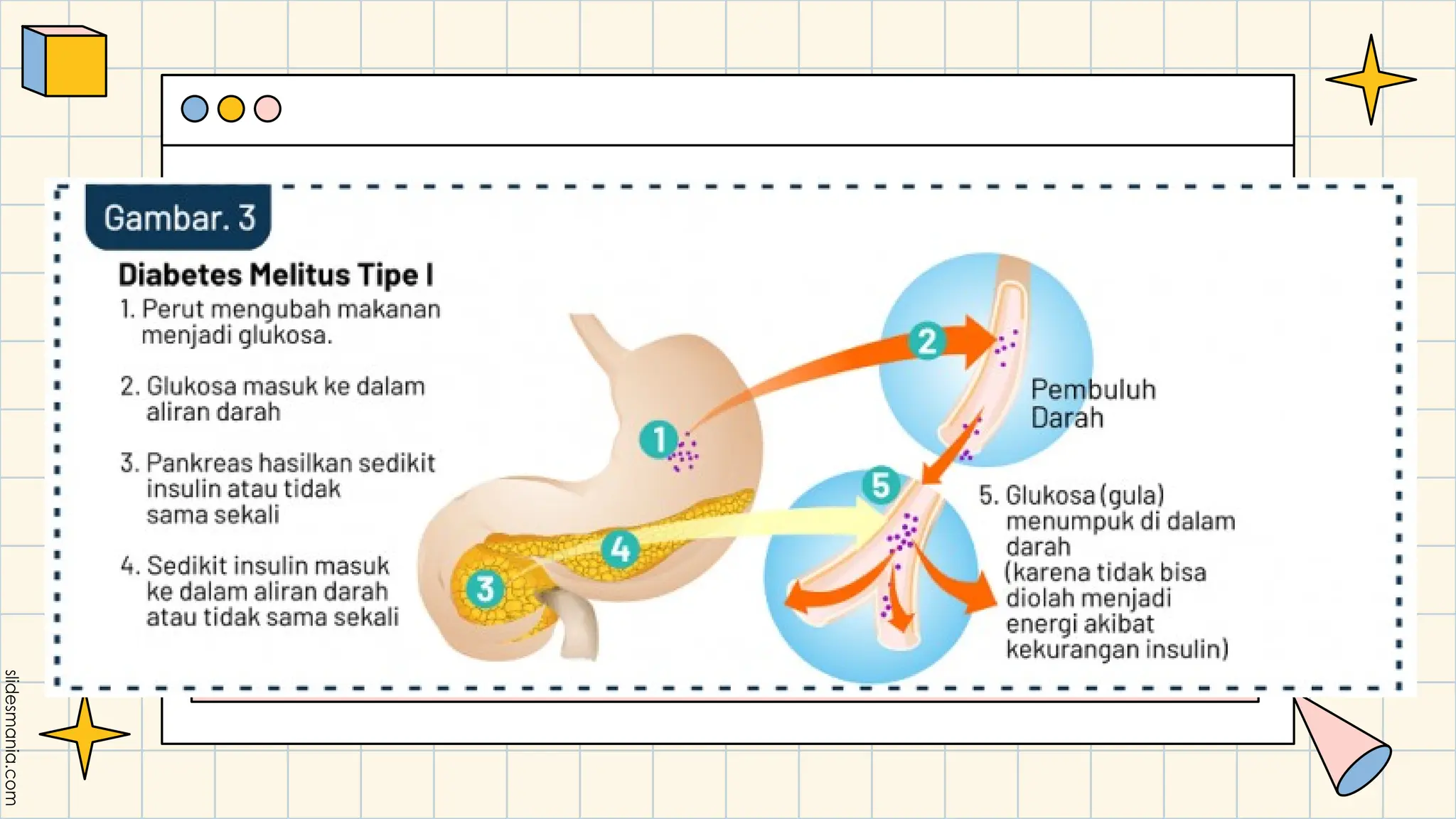 DEFINISI JENIS TANDA DAN GEJALA PENYEBAB FAKTOR RISIKO DAN PENGENDALIAN ...