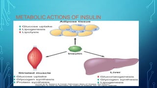 Diabetes mellitus definition,classification,clinical features ...