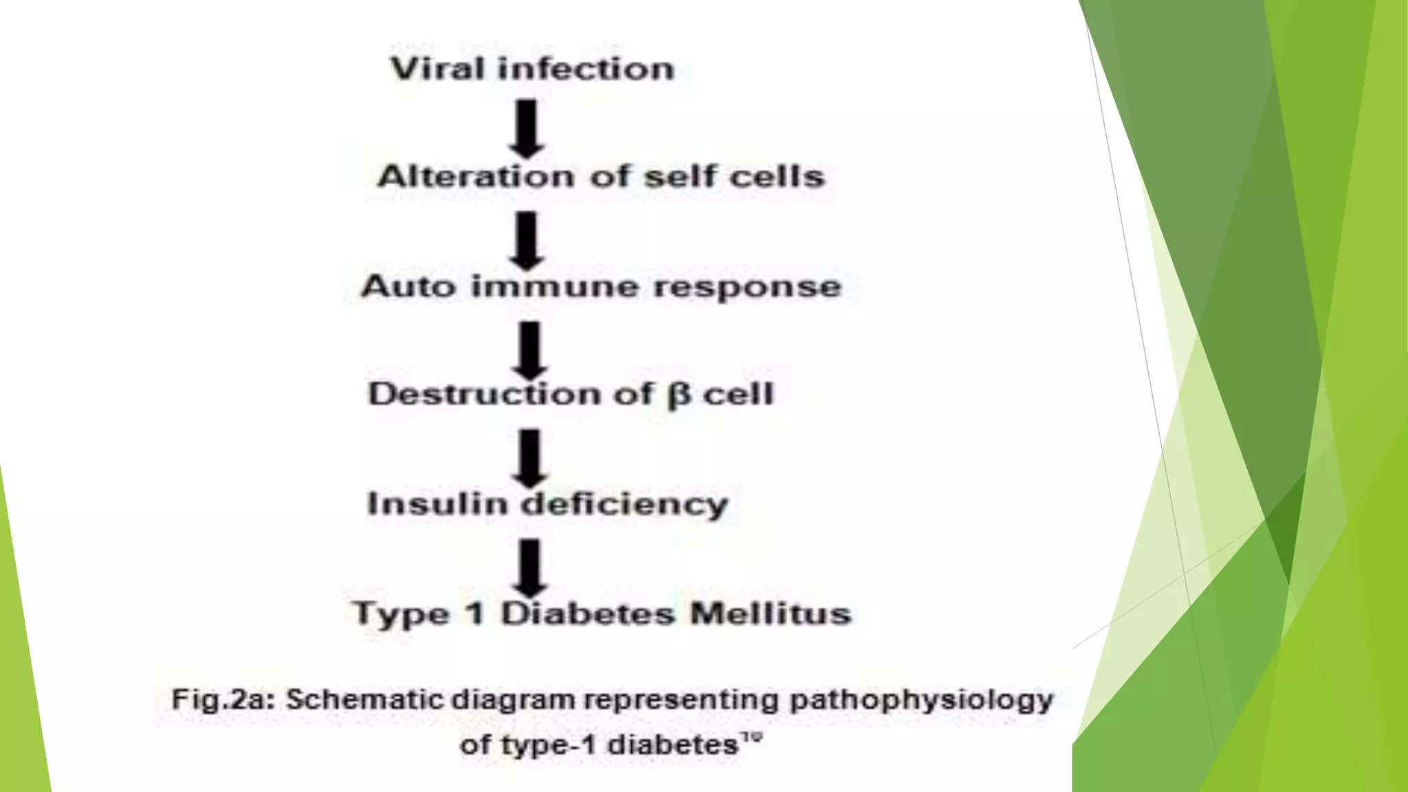 Diabetes mellitus and its pathophisiology | PPTX