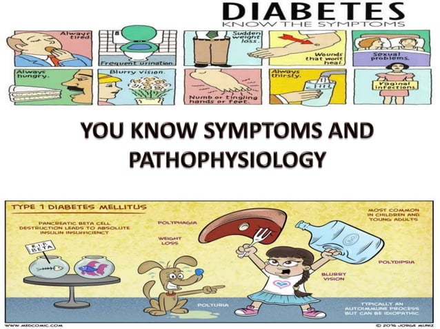 Diabetes mellitus diagnosis and management | PPT