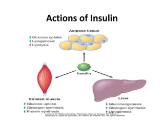 Diabetes mellitus - Pharmacology | PDF