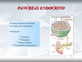 Diabetes mellitus tipo 2 etiologia, diagnostico, tratamiento.ppt