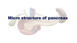 Anatomical aspect of type 1 and 2 Diabetes Mellitus | PPTX