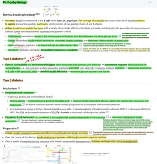 Diabetes mellitus - AMBOSS.pdf
