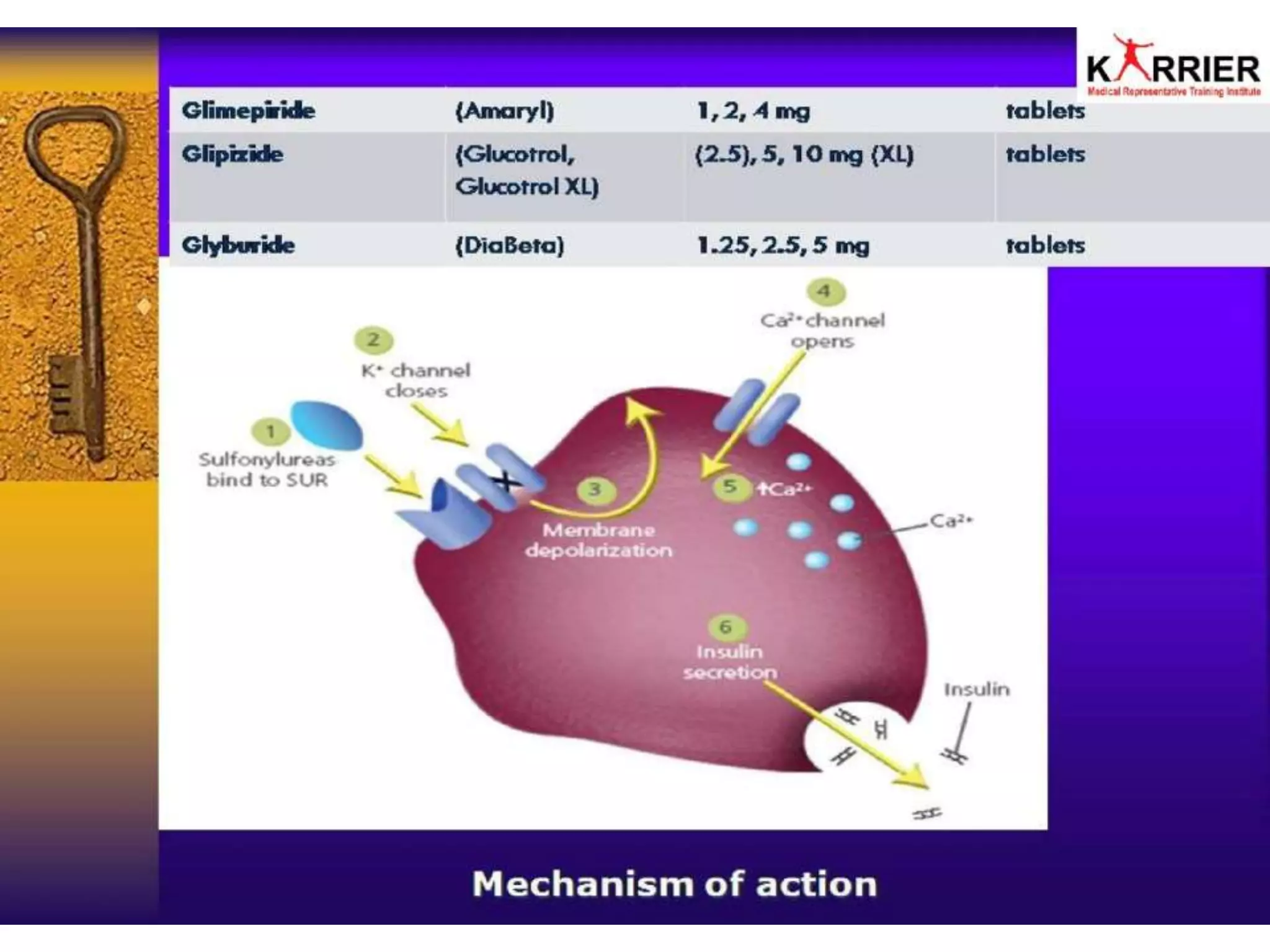Diabetes mellitus oha (oral hypoglycemic agents) overview | PPTX