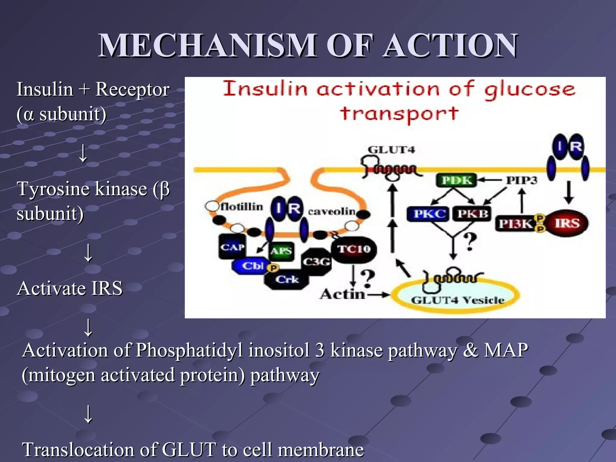 Pharmacology of type 1 Diabetes mellitus Insulin | PPT