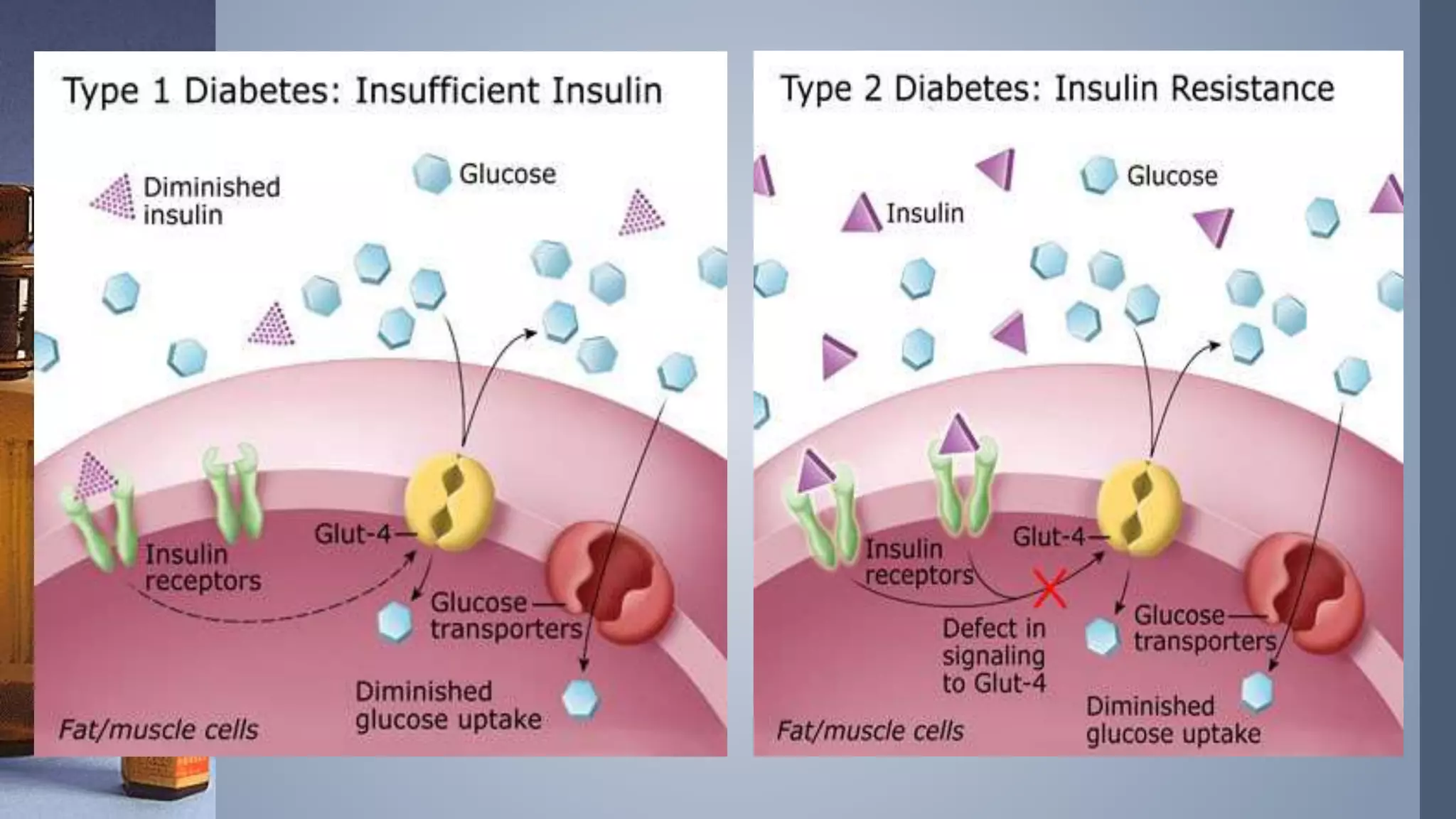 Diabetes mellitus 2019 final | PPTX