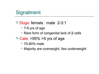Diabetes mellitus in Dogs. | PPT